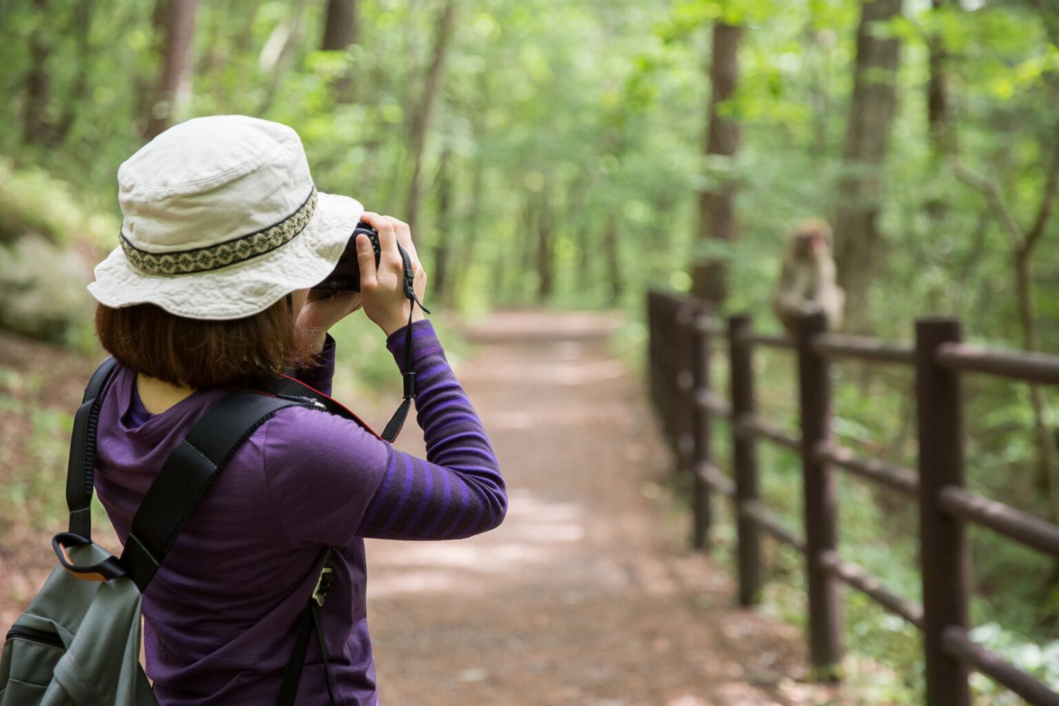 もうフルサイズはいらない！？最新APS-C機との差を実写で比較 | digi-cam.net