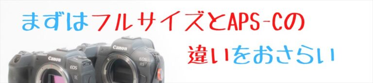 もうフルサイズはいらない！？最新APS-C機との差を実写で比較 | digi-cam.net