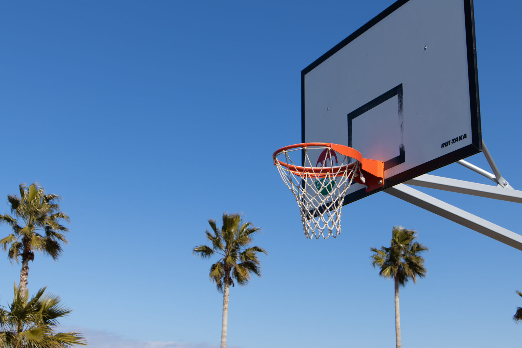 もうフルサイズはいらない！？最新APS-C機との差を実写で比較 | digi-cam.net