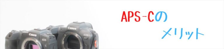 もうフルサイズはいらない！？最新APS-C機との差を実写で比較 | digi-cam.net
