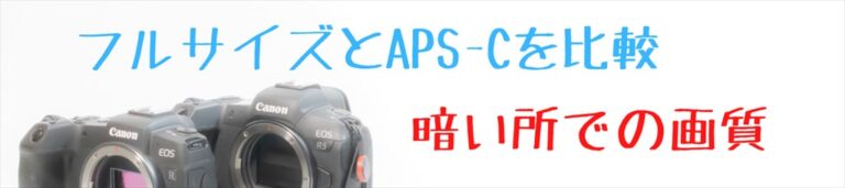 もうフルサイズはいらない！？最新APS-C機との差を実写で比較 | digi-cam.net