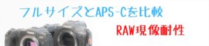 もうフルサイズはいらない！？最新APS-C機との差を実写で比較 | digi-cam.net