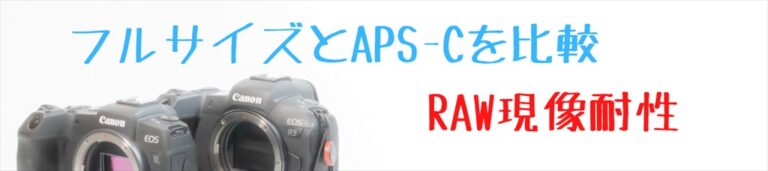 もうフルサイズはいらない！？最新APS-C機との差を実写で比較 | digi-cam.net
