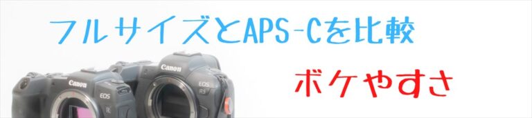 もうフルサイズはいらない！？最新APS-C機との差を実写で比較 | digi-cam.net